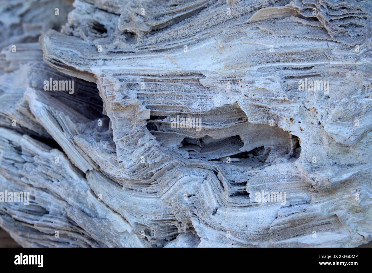 Ancient old petrified wood, excavation, minerals, as nice background ...