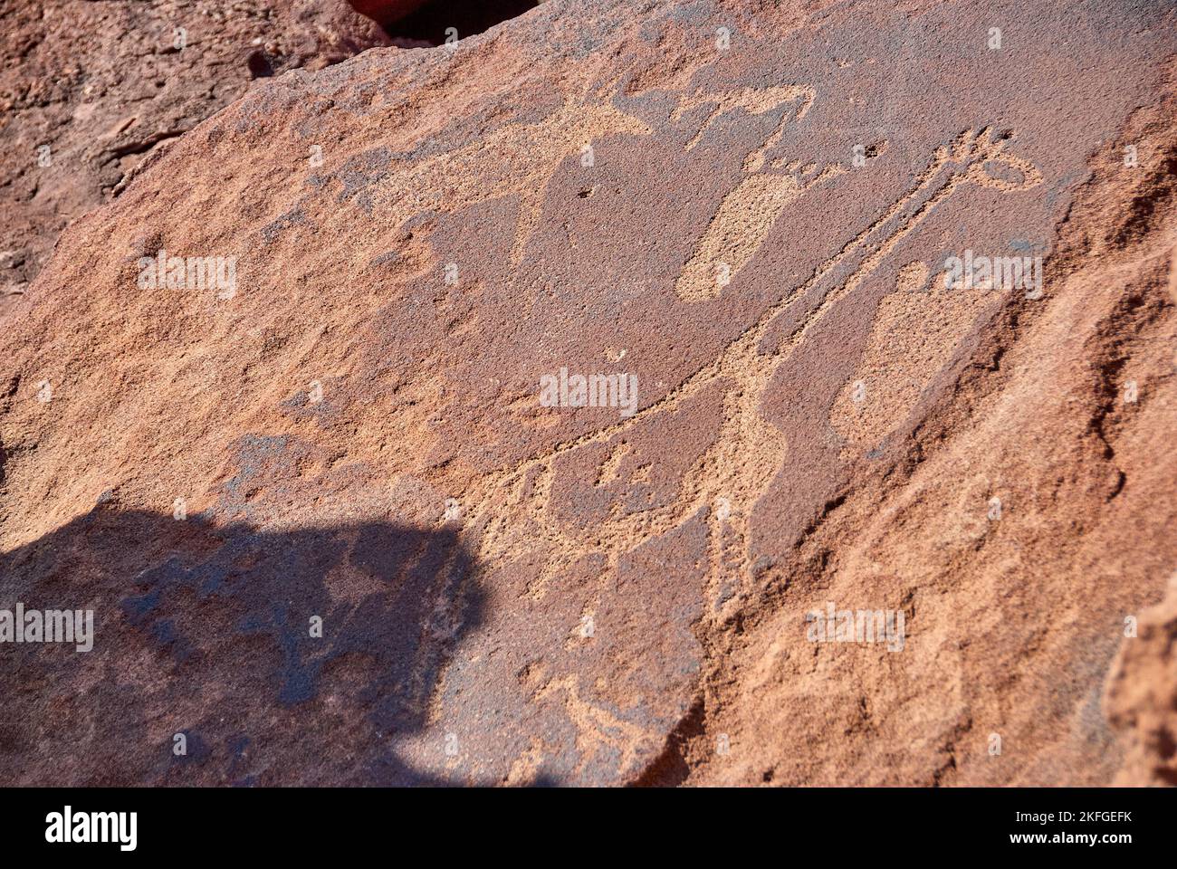 Twyfelfontein, Namibia - 07 16 2013: rock engravings are a Unesco World ...