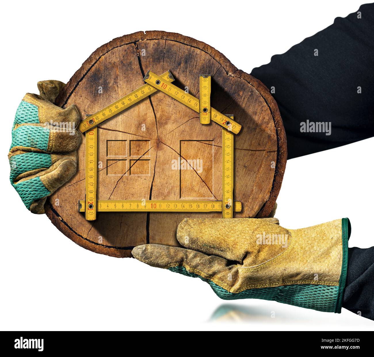 Carpenter with work gloves holding a cross section of a tree trunk with ...