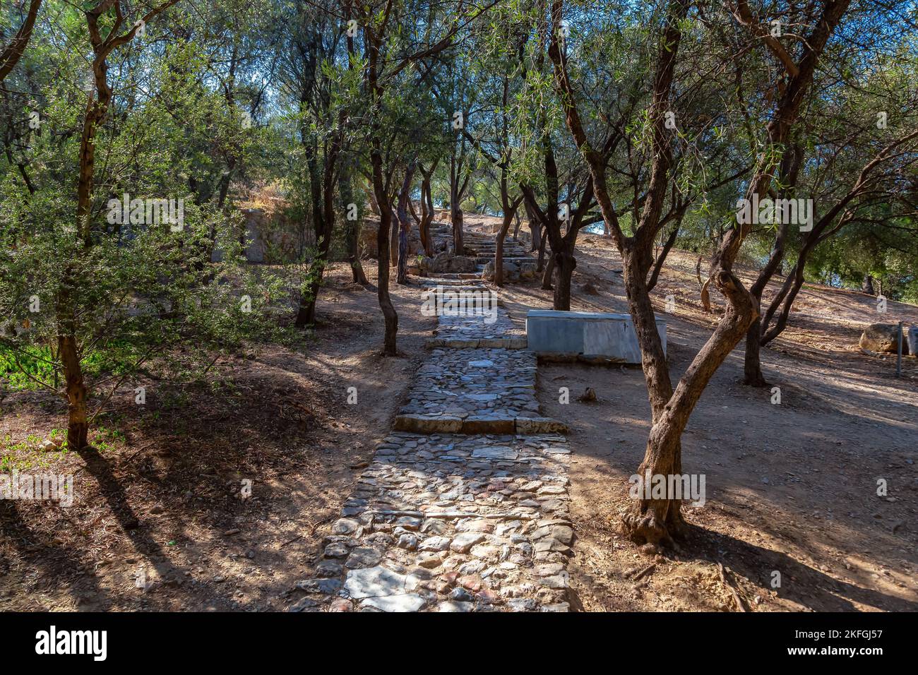 Brick path with trees in Philopappos Hill, Athens, Greece Stock Photo ...