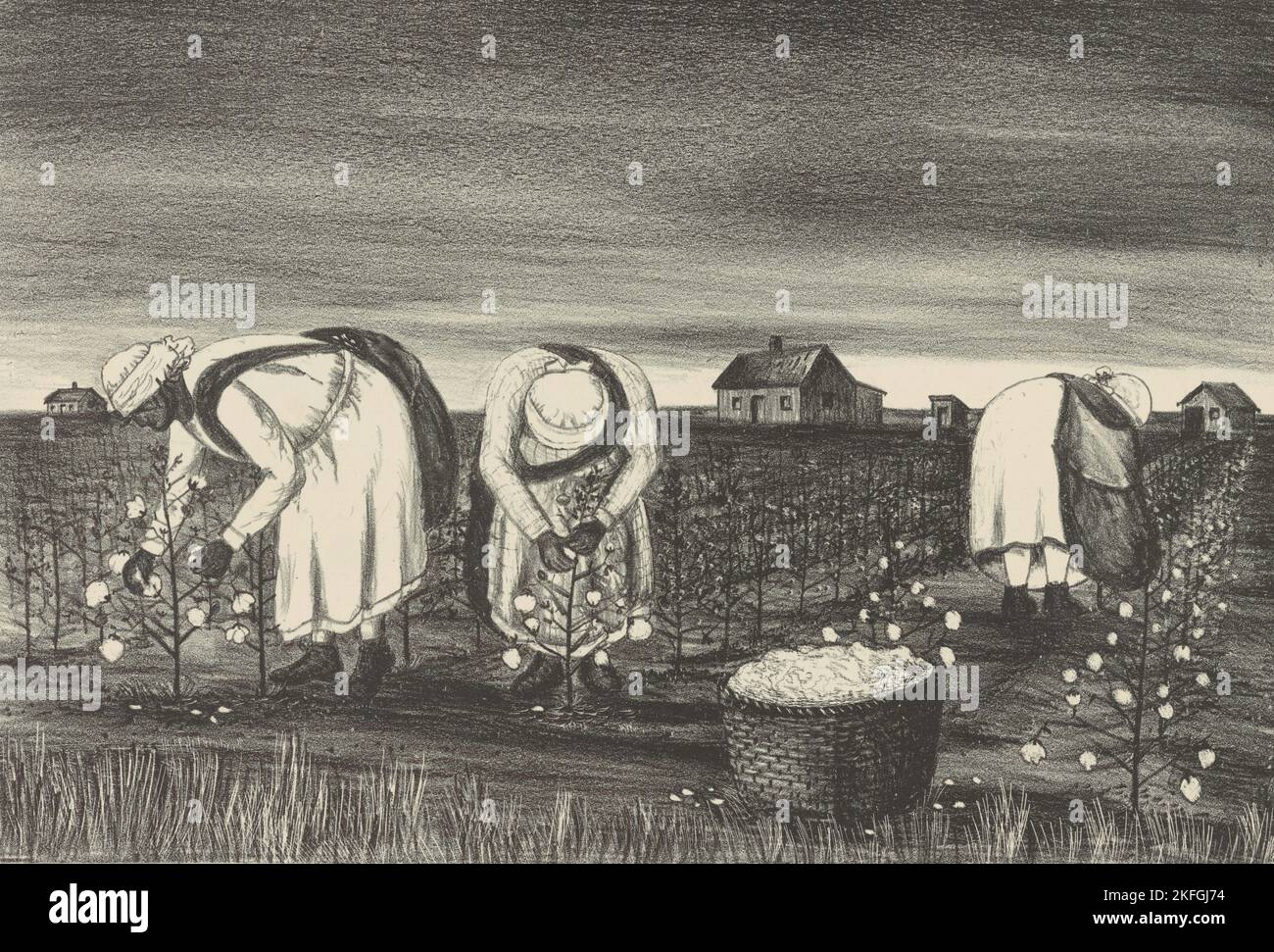 Southern Cottonpickers, ca.1935 - 1943 Stock Photo - Alamy