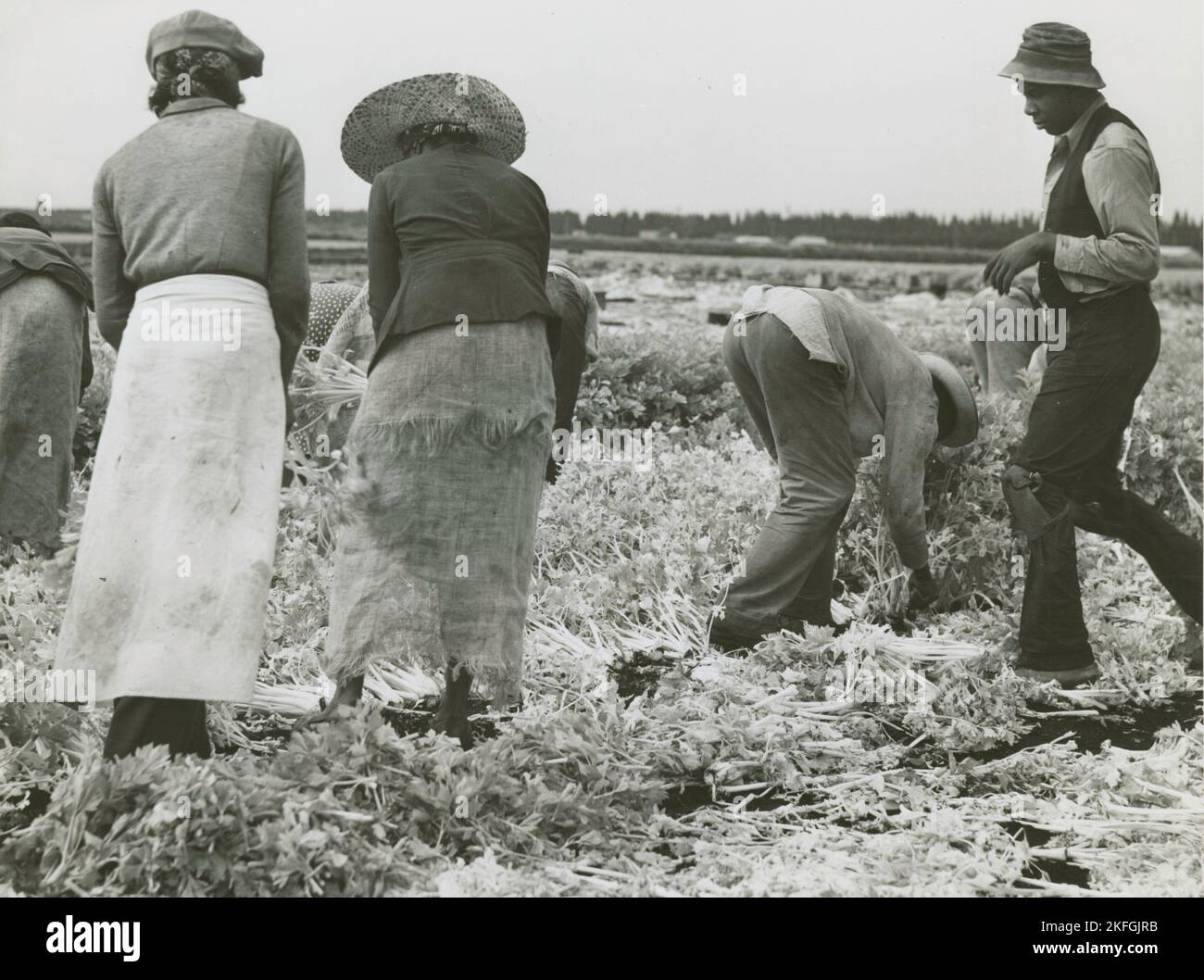 1940s female laborers hi-res stock photography and images - Alamy