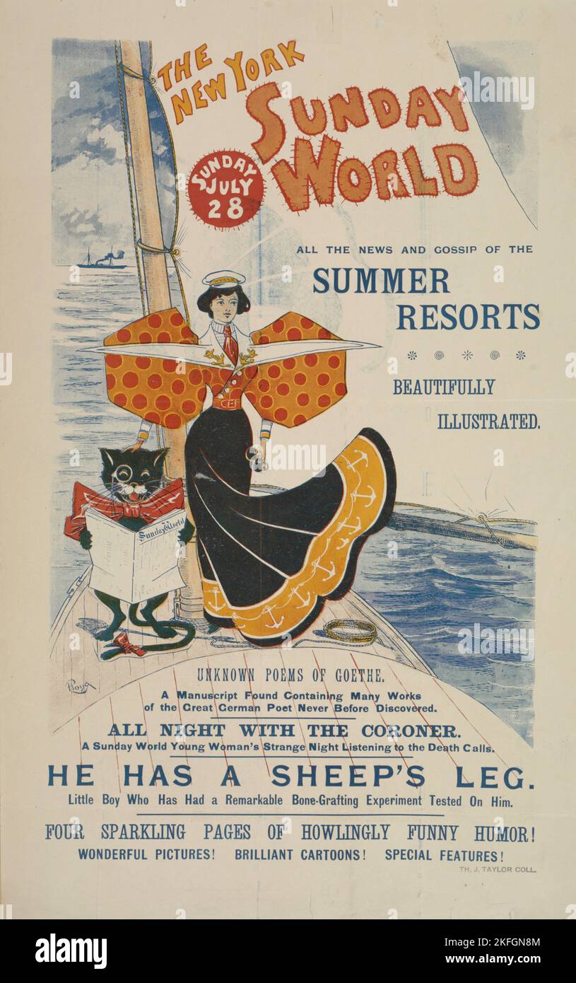 The New York Sunday world. Sunday July 28. 1895, c1893 - 1897 Stock ...