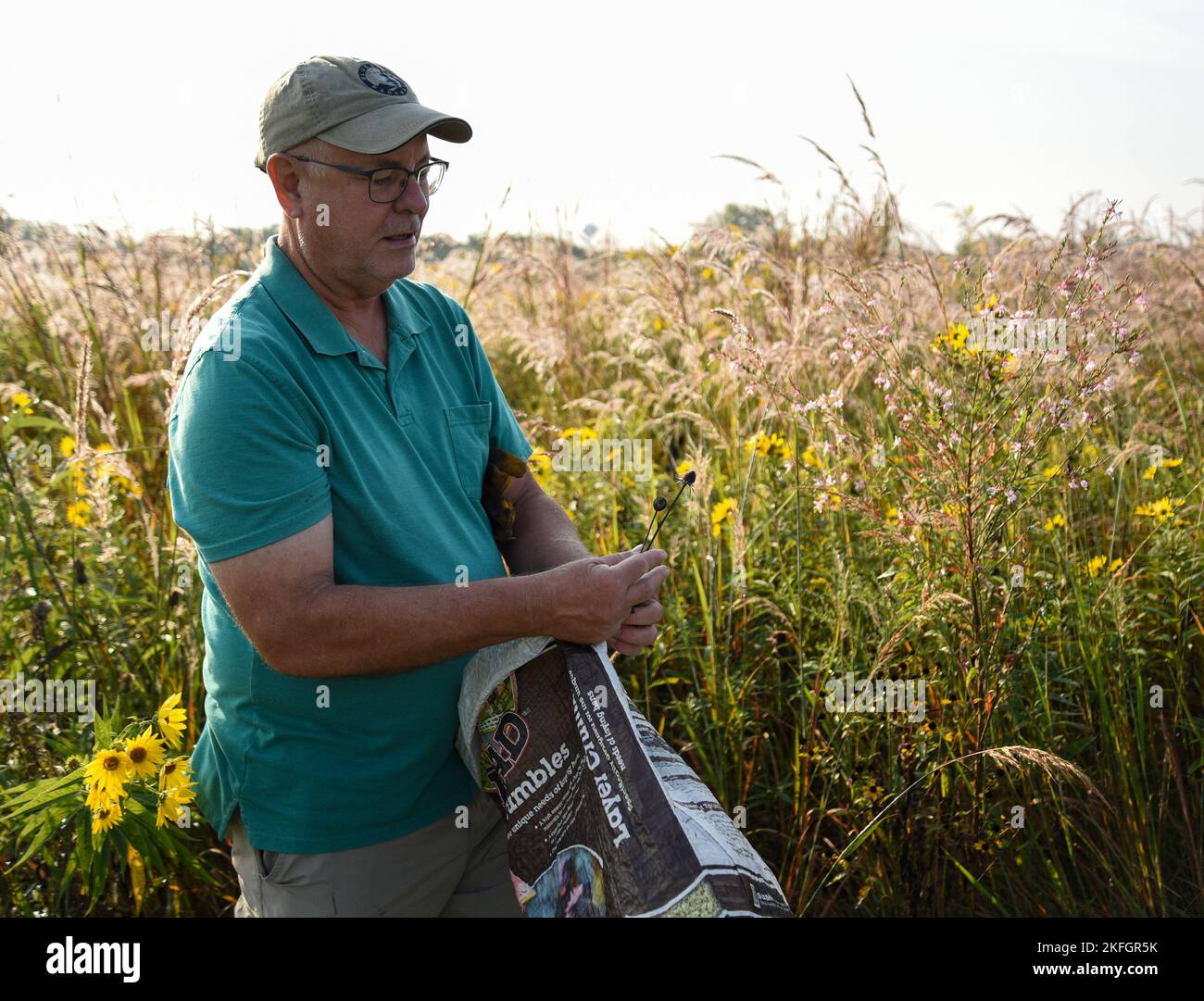 Dave Nolin, retired director of Five Rivers MetroParks, collects seeds ...