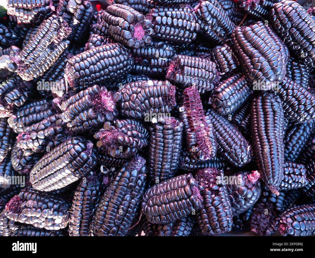 Pile of Purple Corn in Puno's Market in the Morning Stock Photo - Alamy