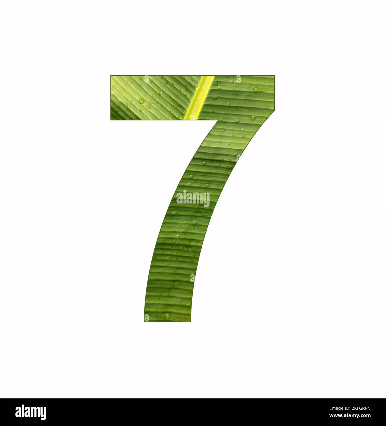 Number 7 - Digit seven on banana plant leaf background Stock Photo - Alamy