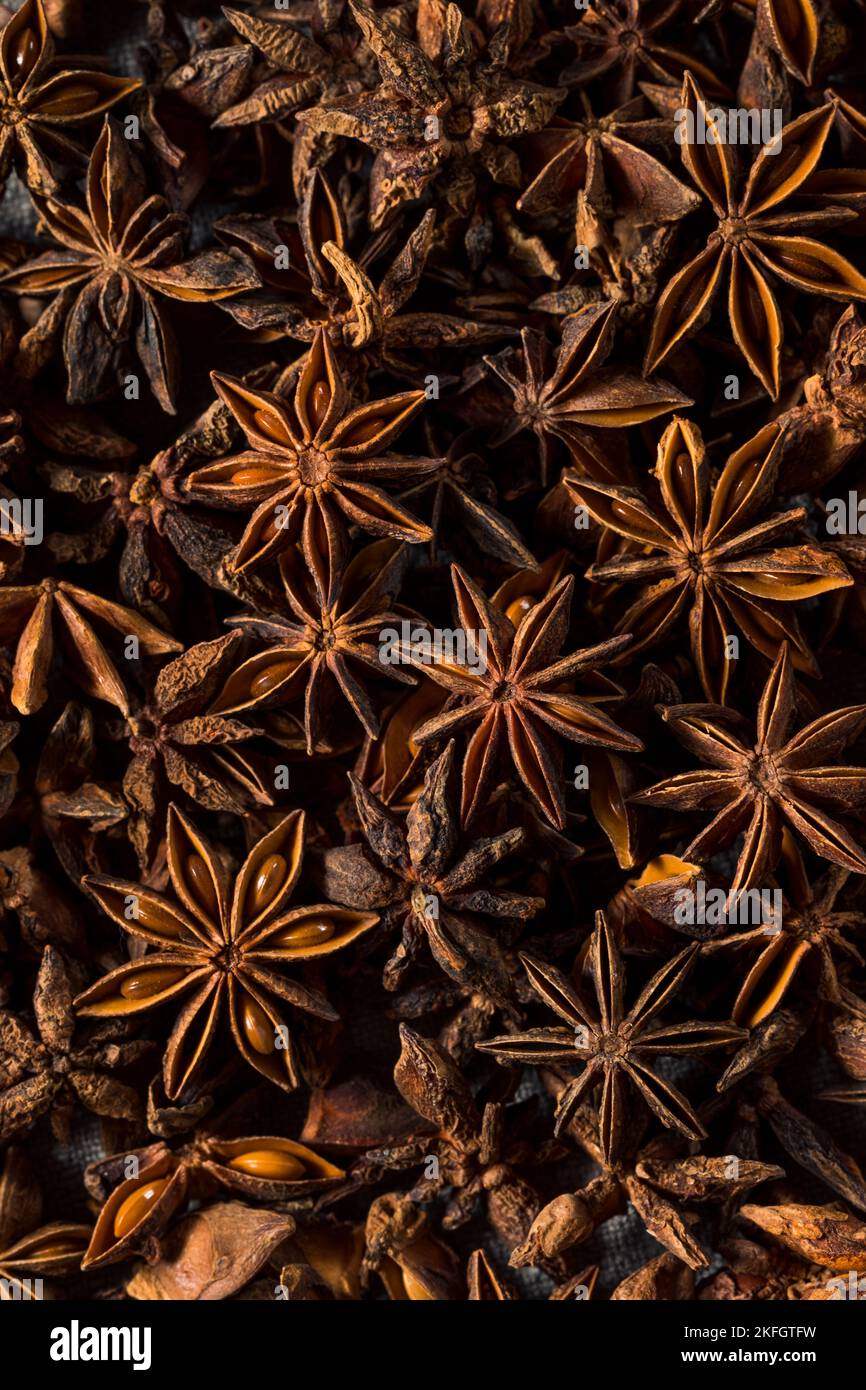 Raw Brown Organic Star Anise Spice in a Bunch Stock Photo - Alamy