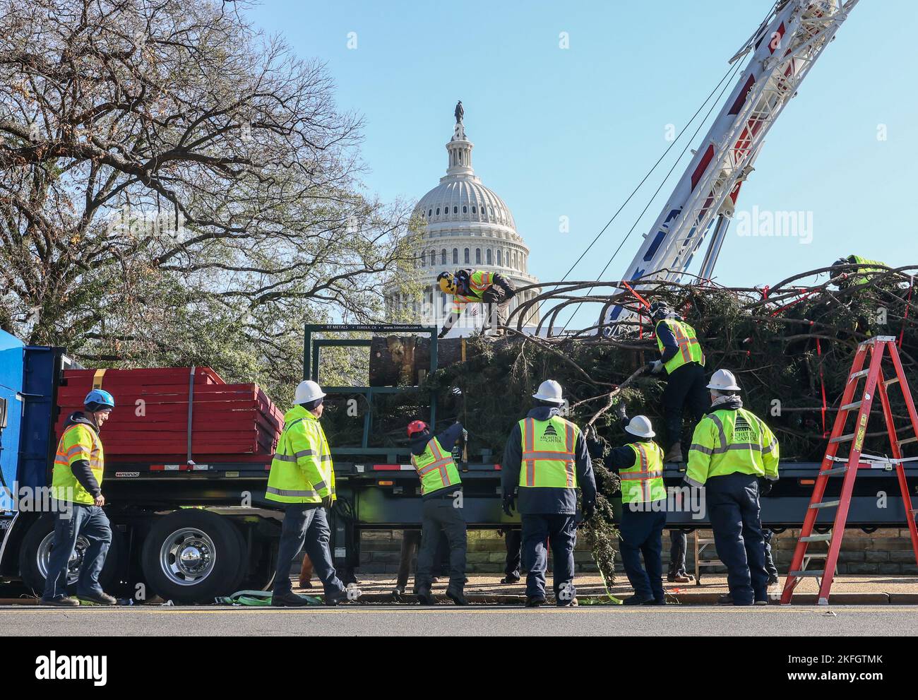 Washington, United States. 18th Nov, 2022. Workman trim the official US ...