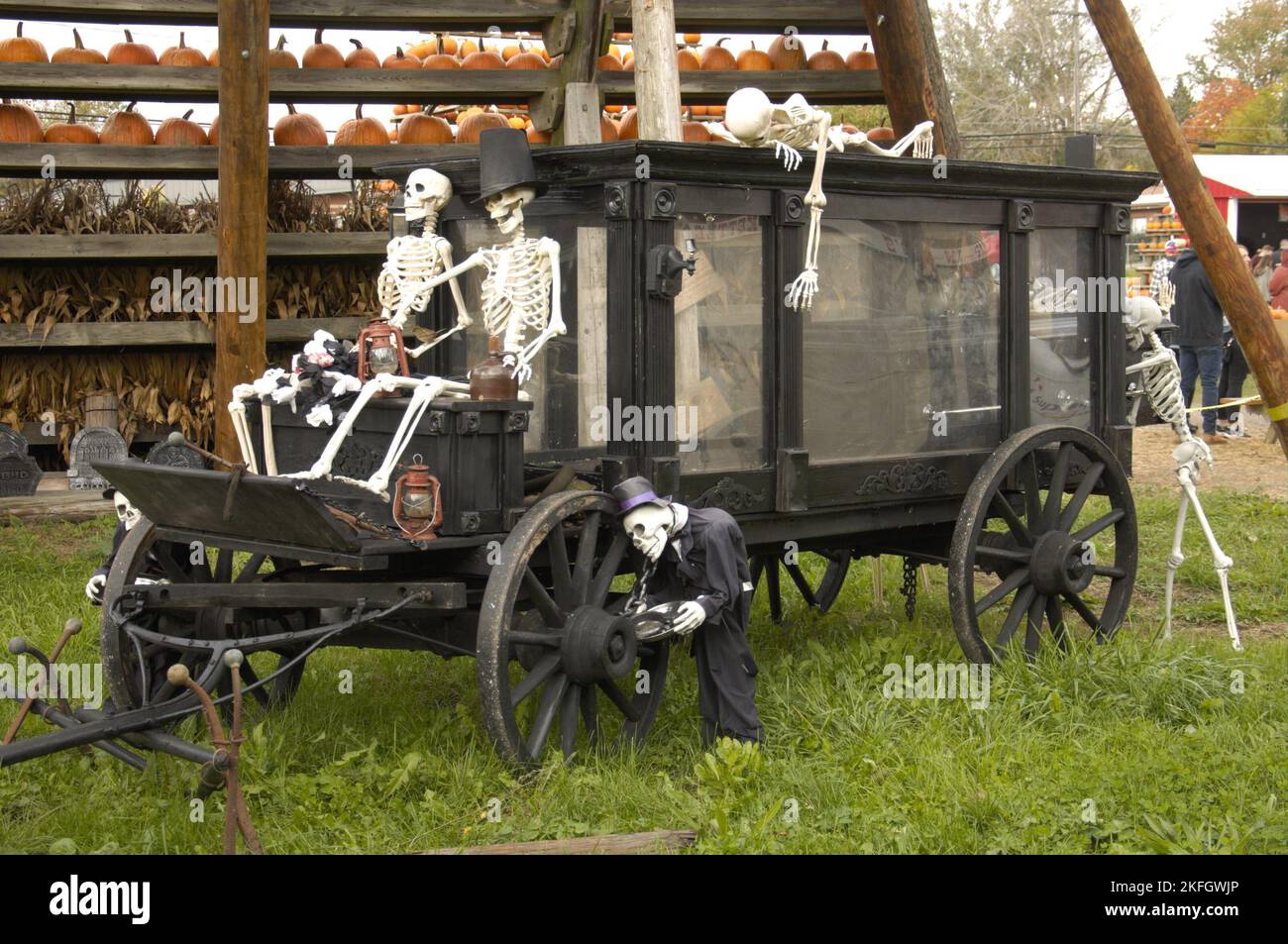 Glass carriage hi-res stock photography and images - Alamy