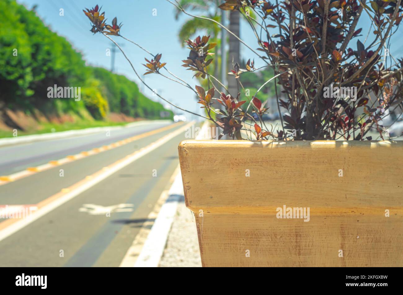 Plant pot in the middle of a street with bike path next door and space ...