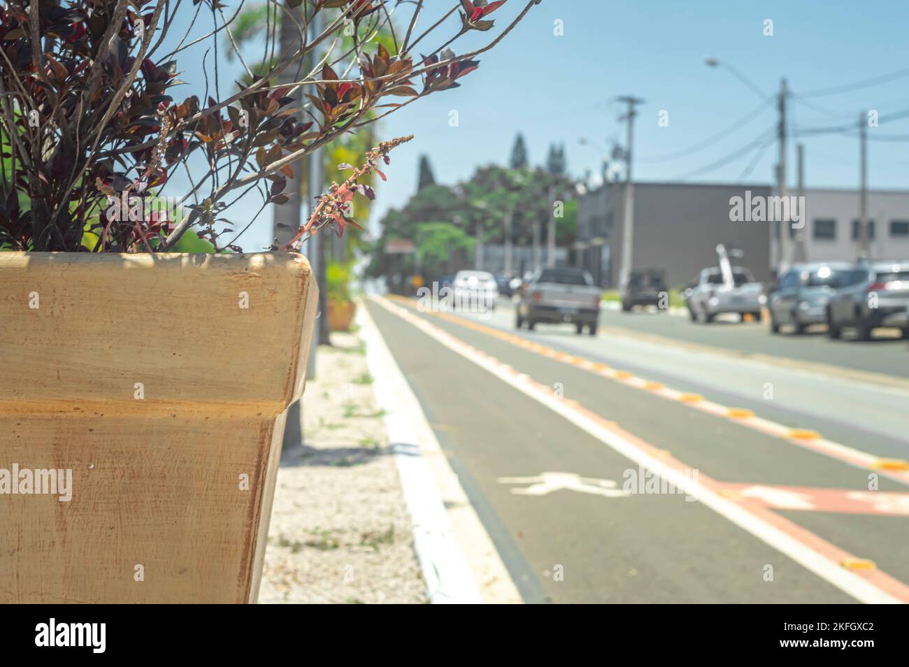 Plant pot in the middle of a street with bike path next door and space ...