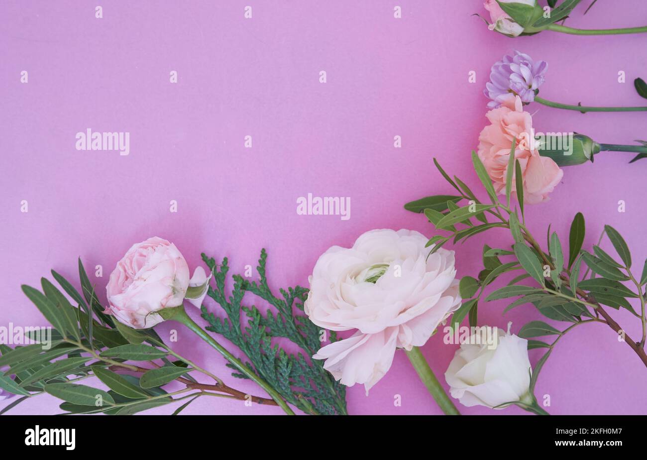 View from above. Close-up of a frame of fresh flowers rose, ranunculus ...