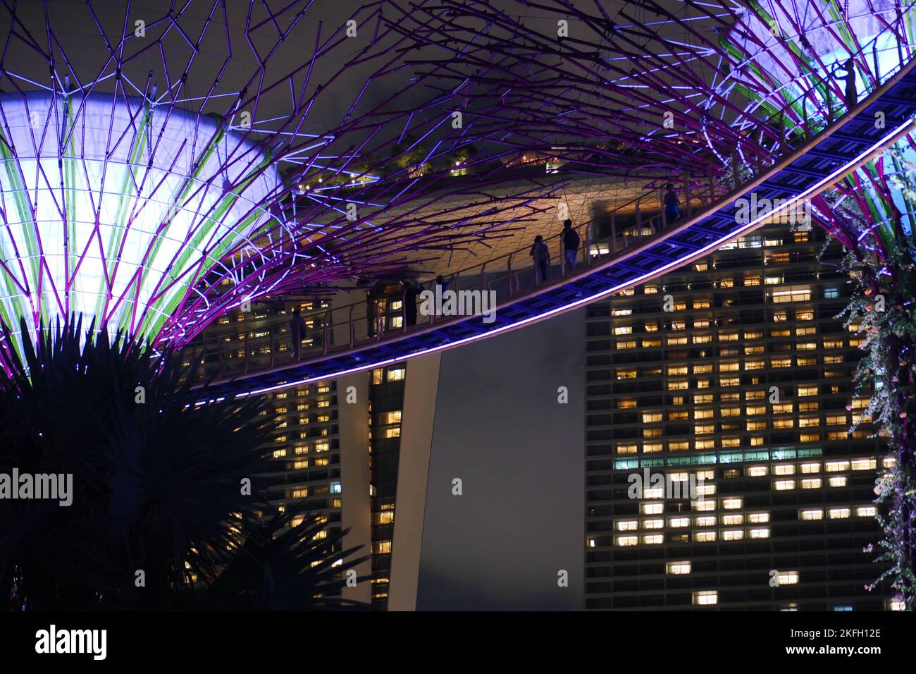 Singapore 10 june 2022. lighting on Gardens by the bay at night Stock ...