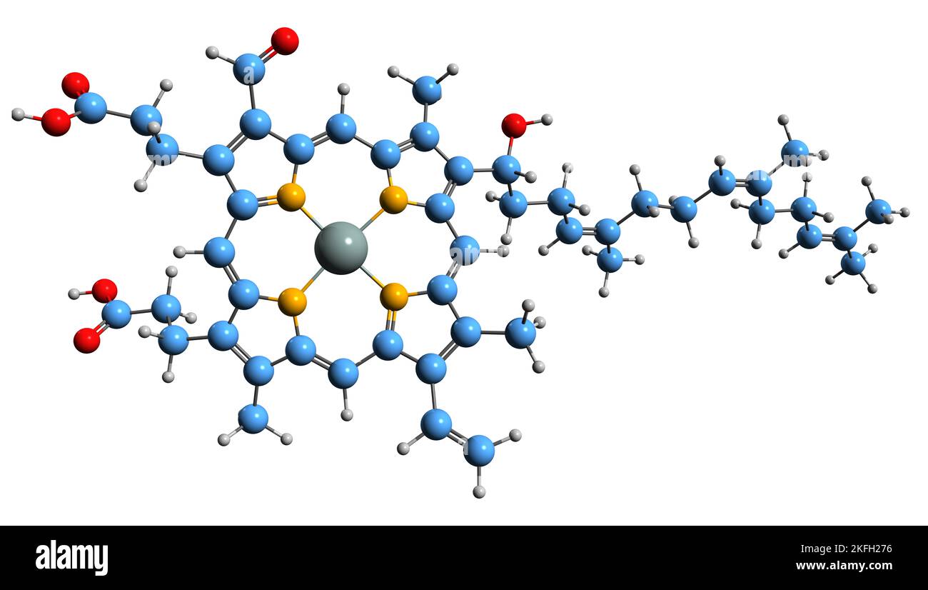 Structure heme hi-res stock photography and images - Alamy
