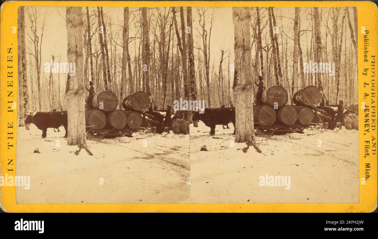 Mich vintage posters hi-res stock photography and images - Alamy