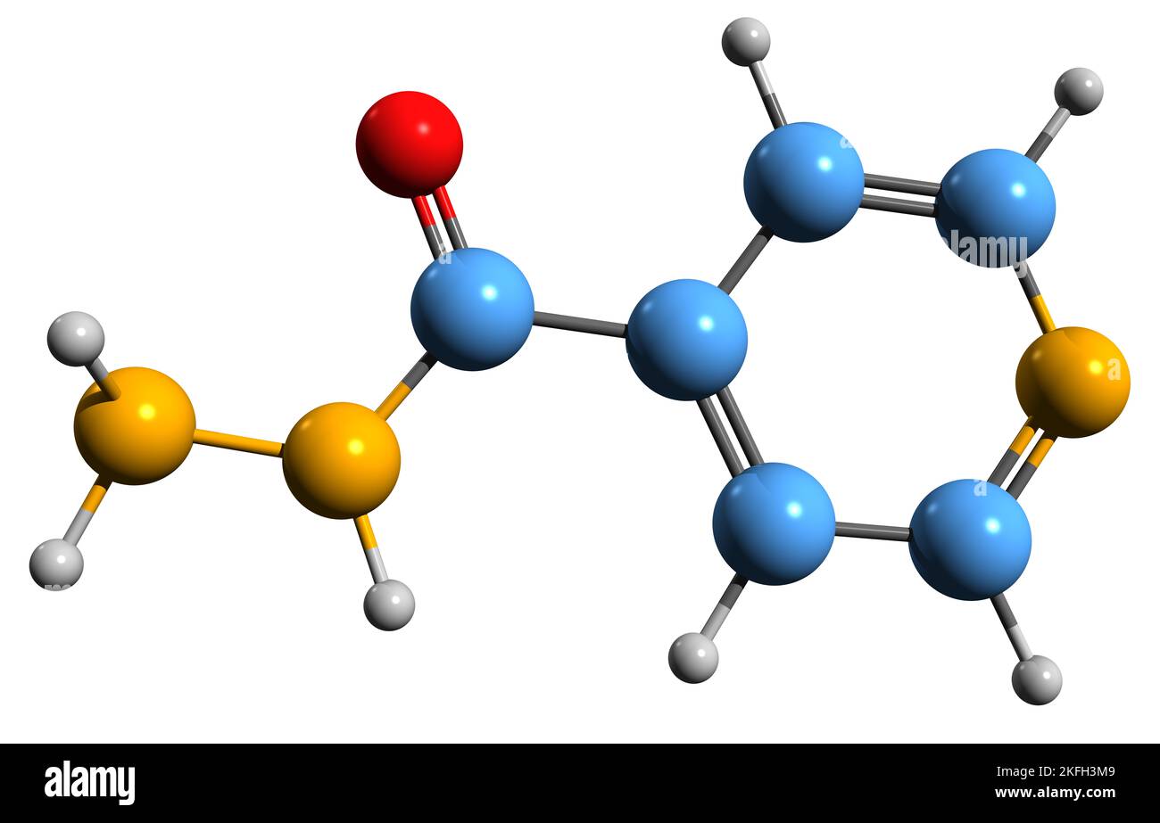 3D image of Nicotinic hydrazide skeletal formula - molecular chemical ...