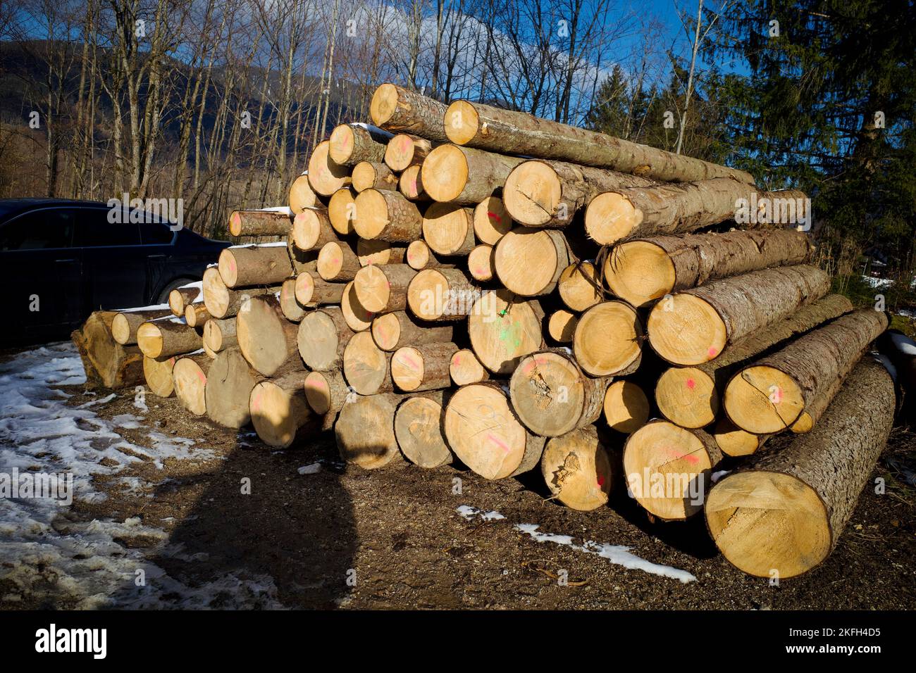 Woods harvest hi-res stock photography and images - Alamy