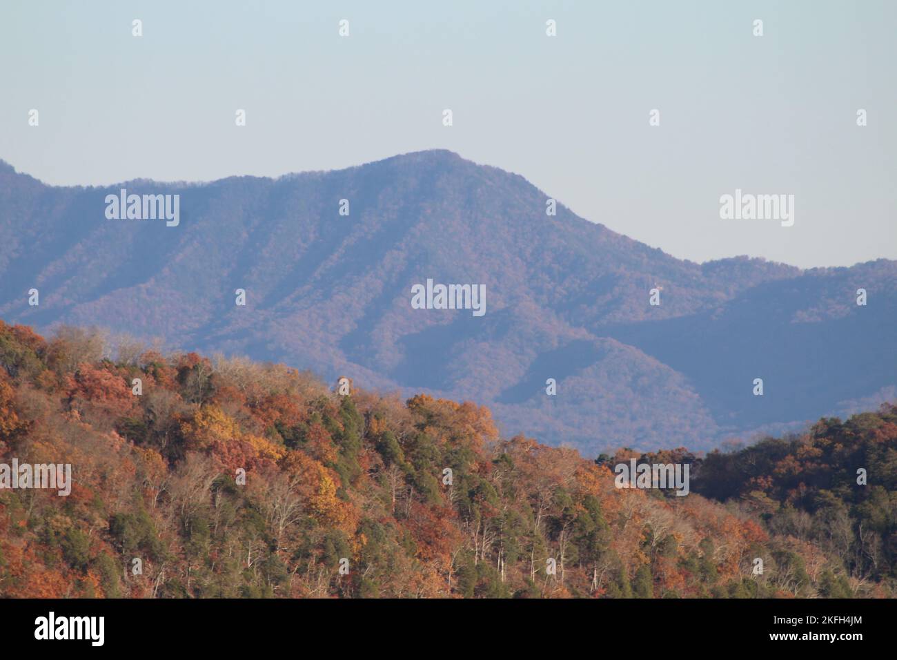 An aerial view of a beautiful forest near the mountains in Tennessee ...