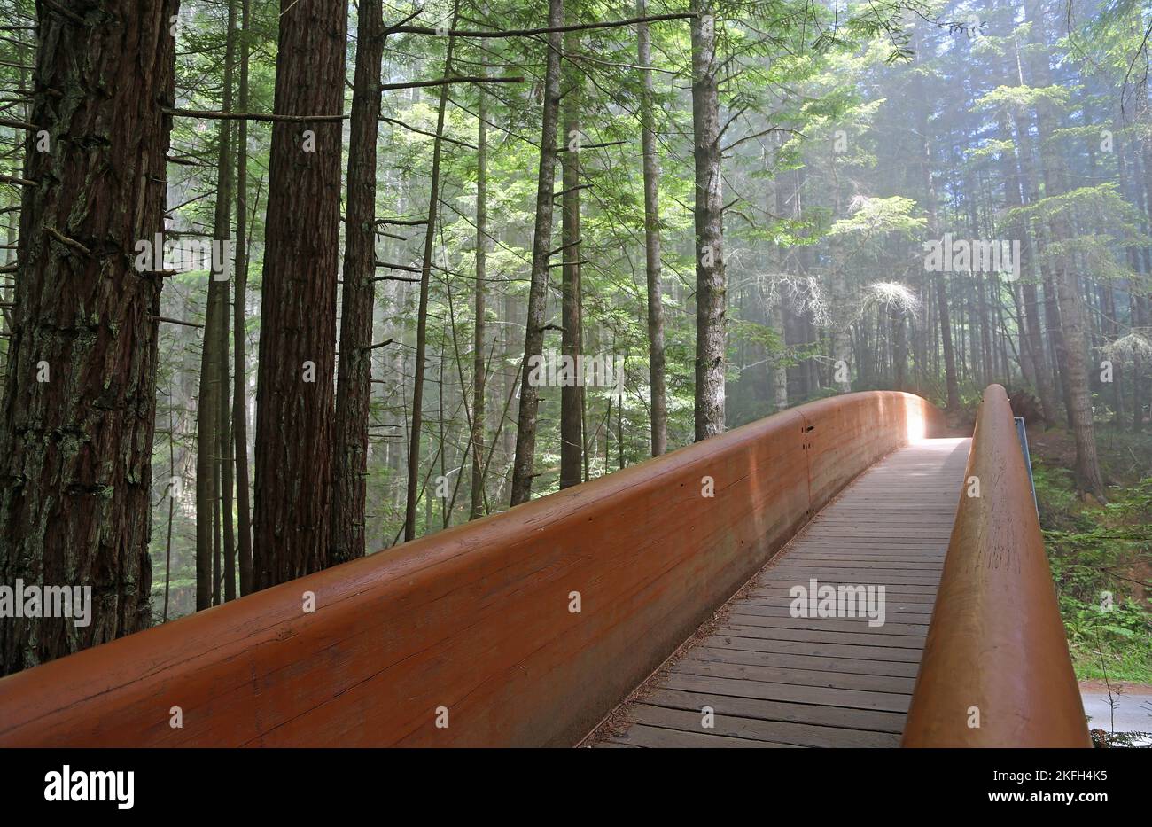 Redwood bridge hi-res stock photography and images - Alamy
