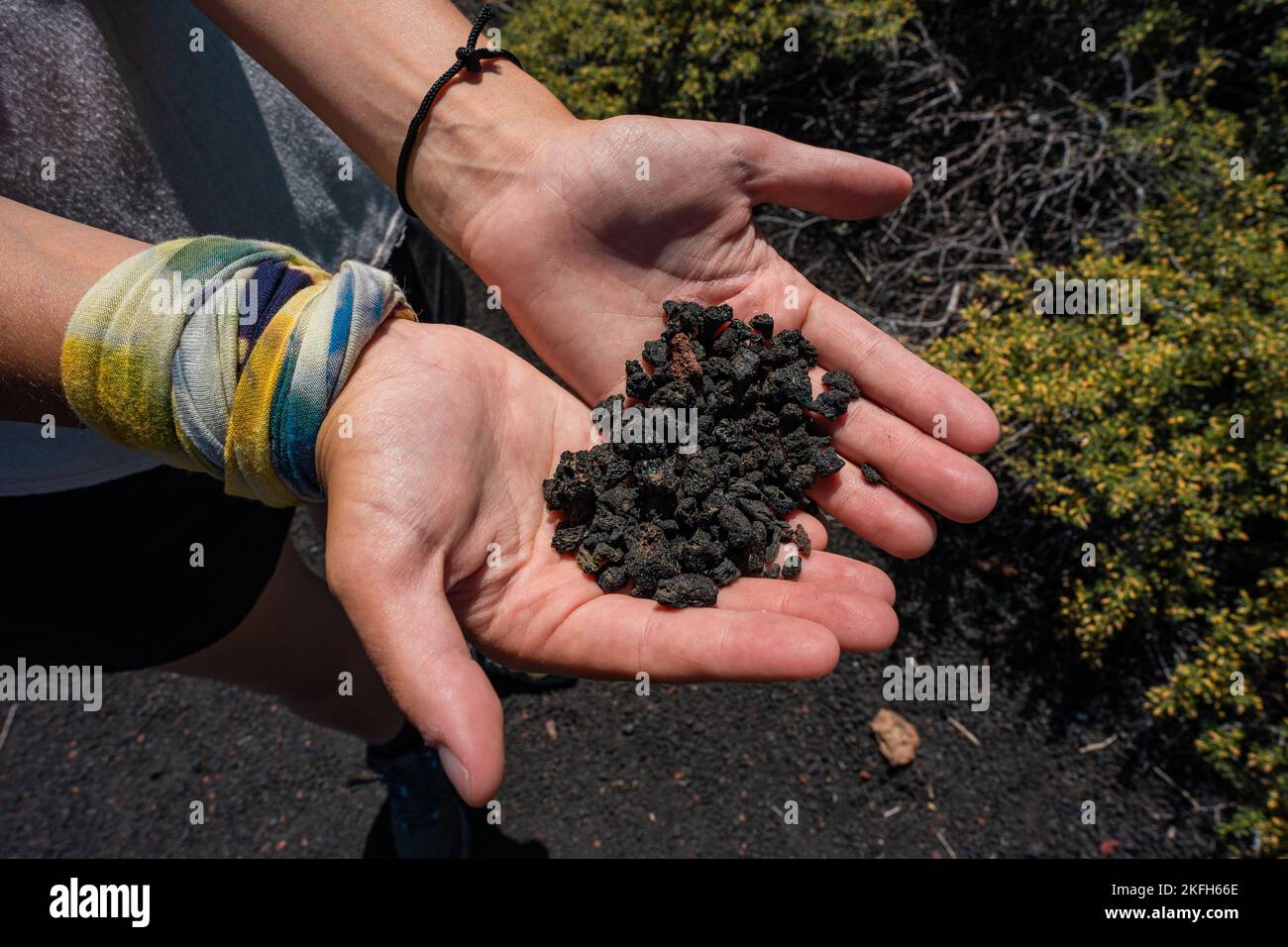 Human hands earth hi-res stock photography and images - Alamy
