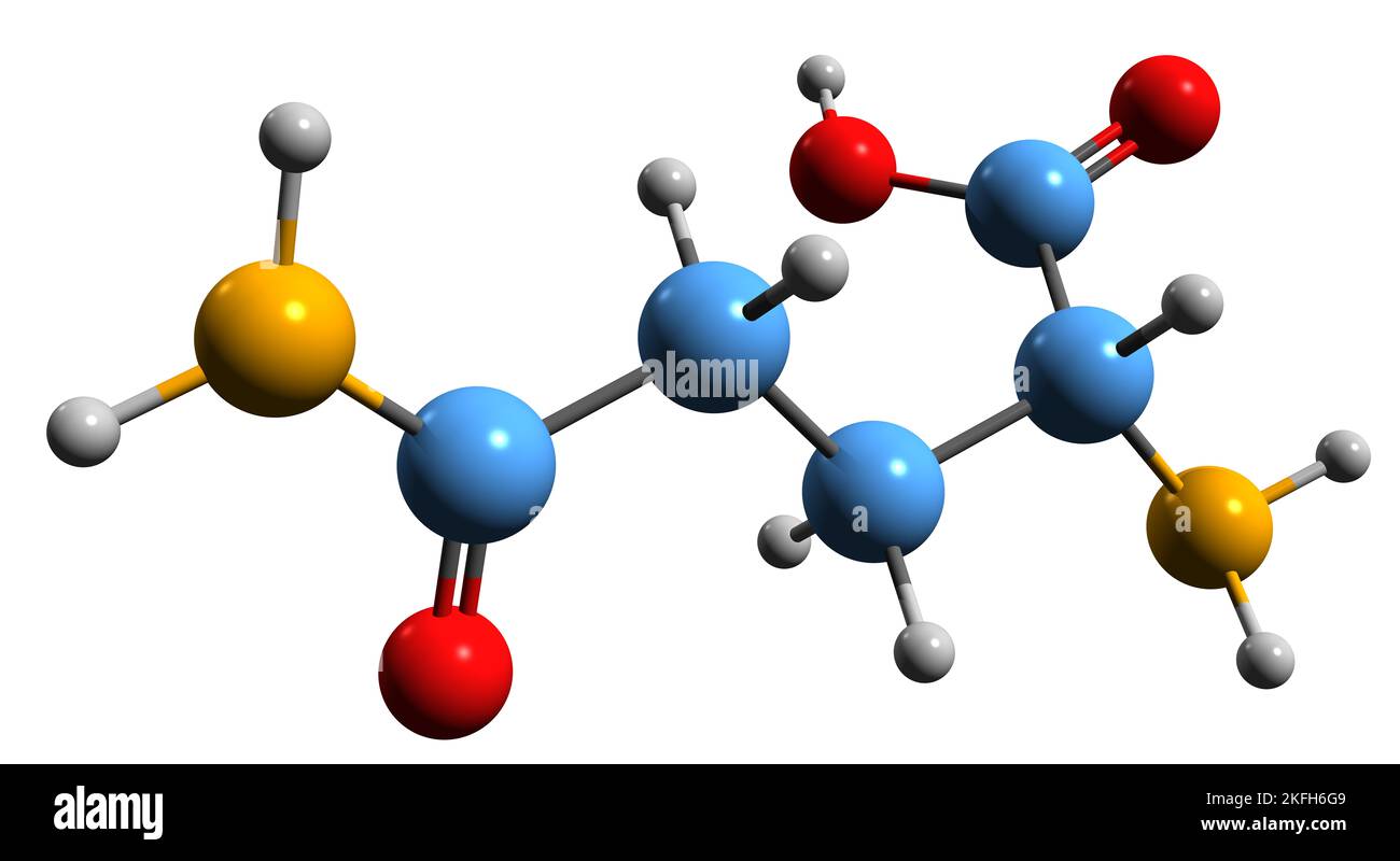 3D image of Glutamine skeletal formula - molecular chemical structure ...