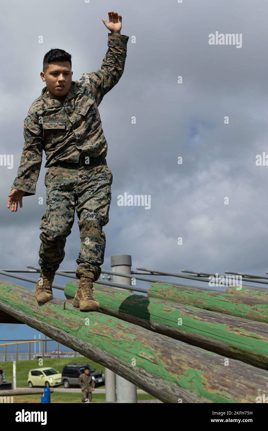 U.S. Marine Corps Lance Cpl. Jonathan Alejos, an automotive maintenance ...