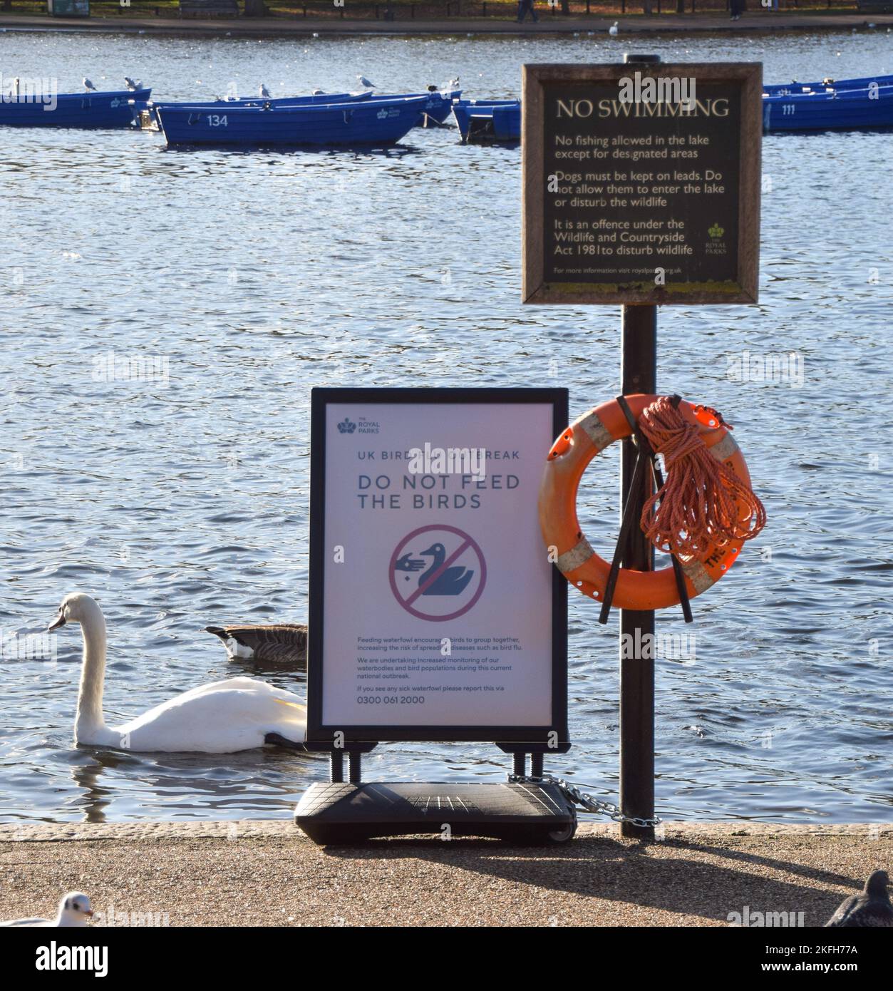 London, UK. 18th November 2022. 'Do not feed the birds’ sign warns of a ...
