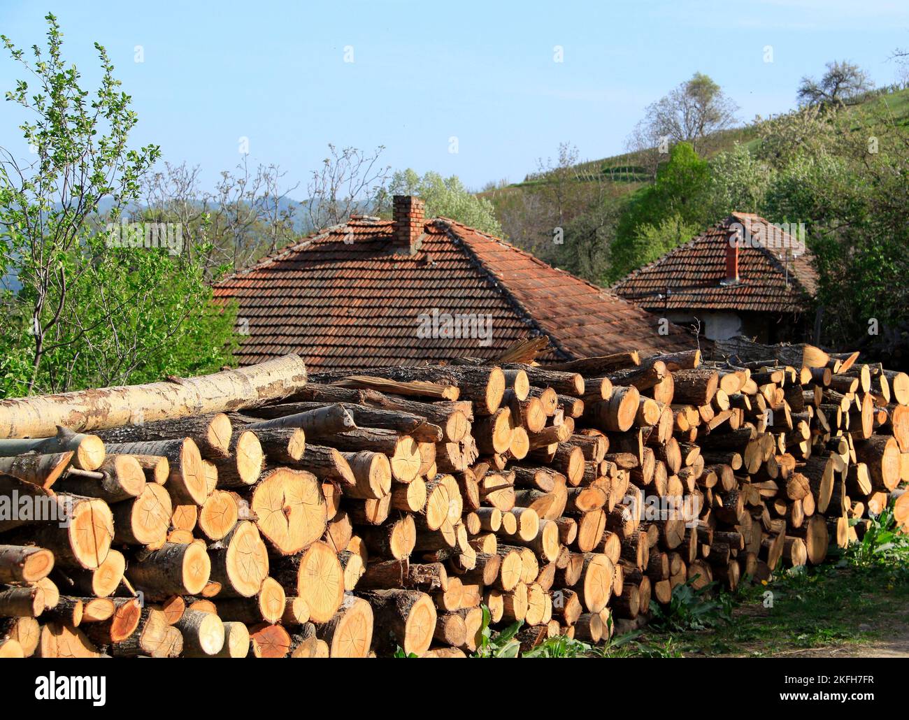 Wood for winter and cold days Stock Photo - Alamy