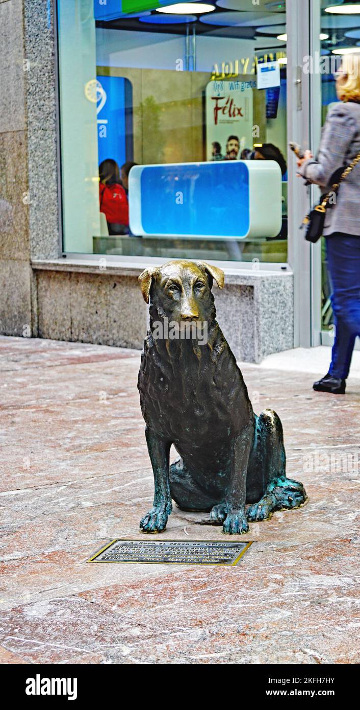 Sculpture of the dog rufus hi-res stock photography and images - Alamy