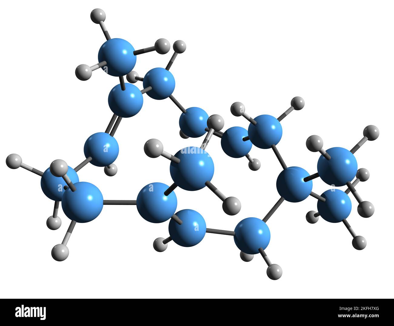 3D image of Humulene skeletal formula - molecular chemical structure of ...