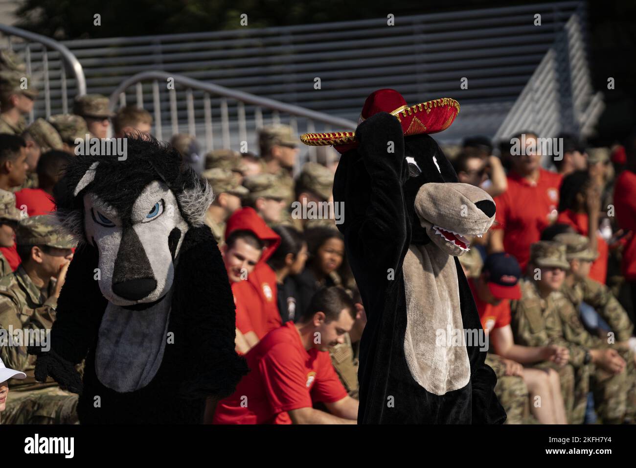 Wolf mascots from the 336th Training Squadron display their pride ...
