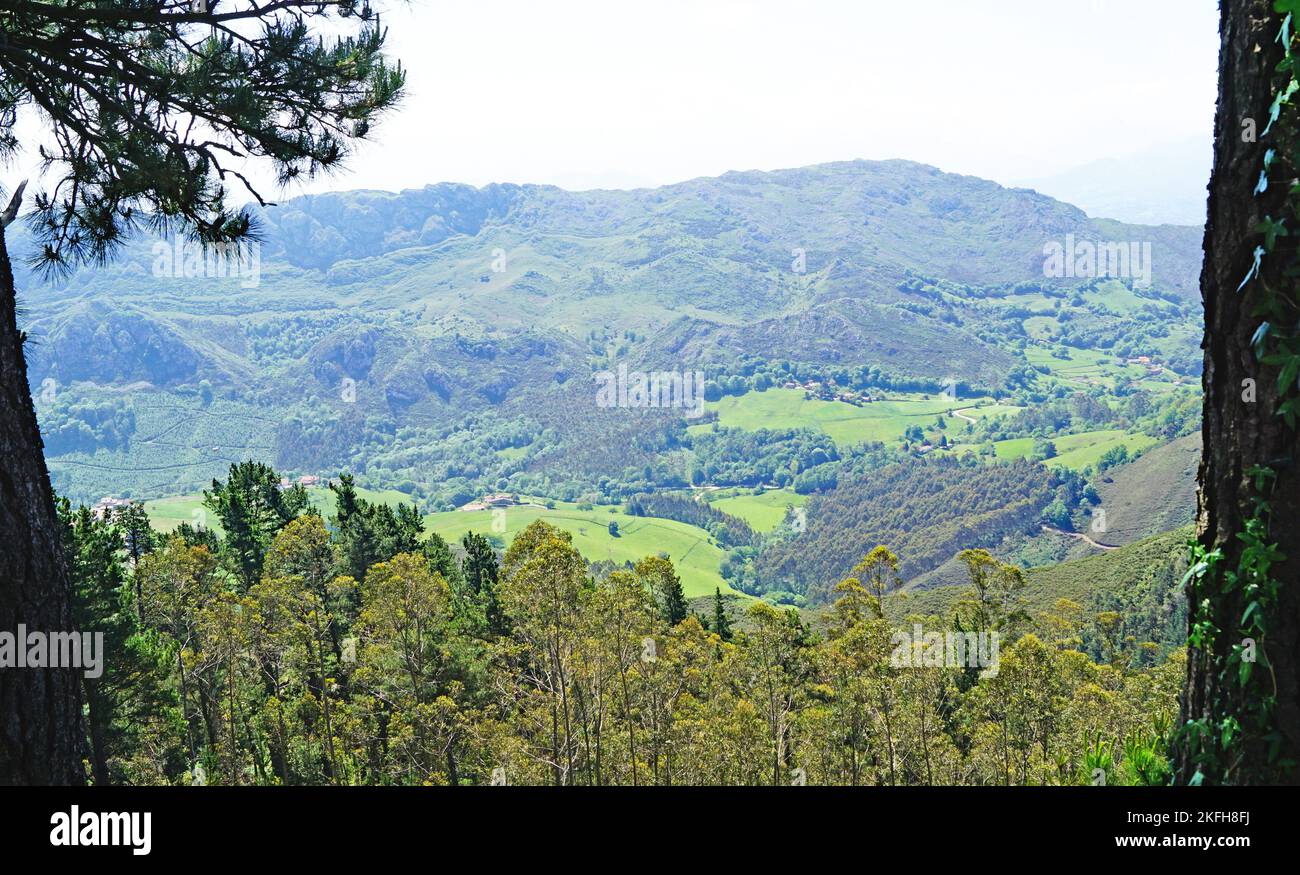 Parque natural de el ponga hi-res stock photography and images - Alamy
