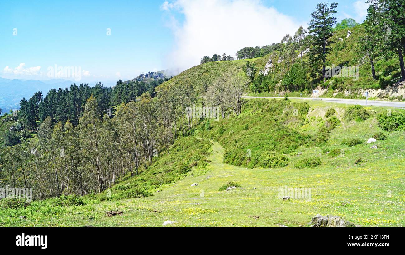 Parque natural de el ponga hi-res stock photography and images - Alamy