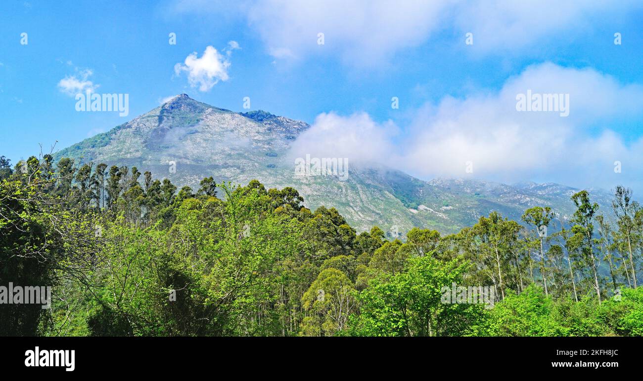 Parque natural de el ponga hi-res stock photography and images - Alamy