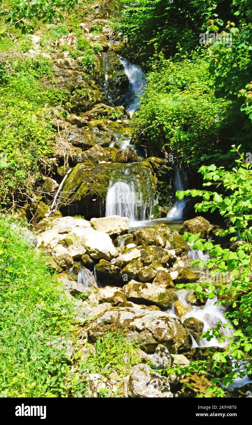 Los Beyos Ponga gorge, Principality of Asturias, Asturias, Spain ...