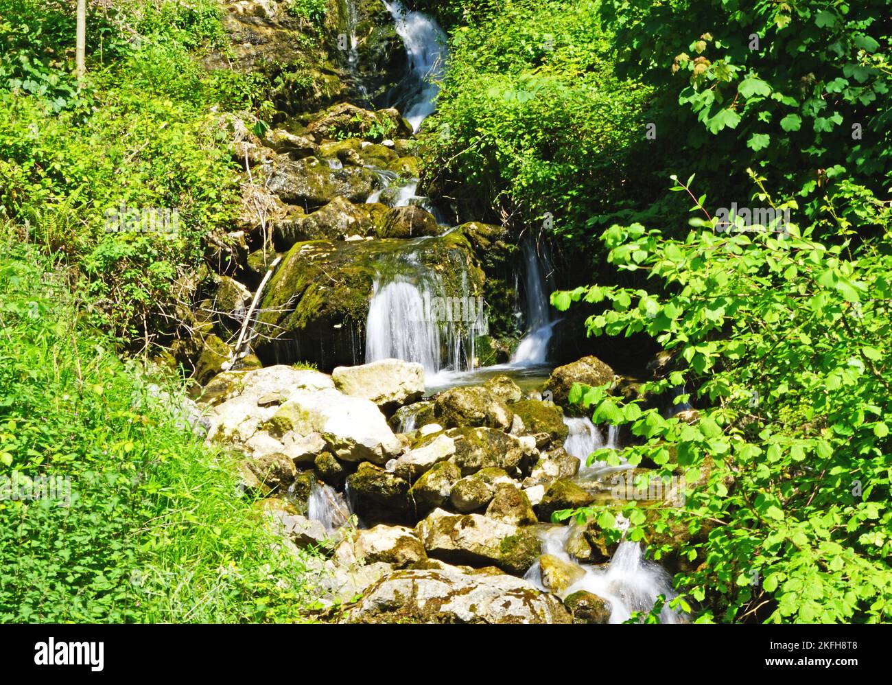 Los Beyos Ponga gorge, Principality of Asturias, Asturias, Spain ...