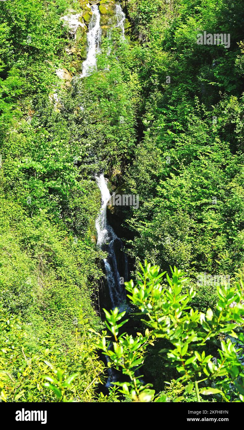 Los Beyos Ponga gorge, Principality of Asturias, Asturias, Spain ...