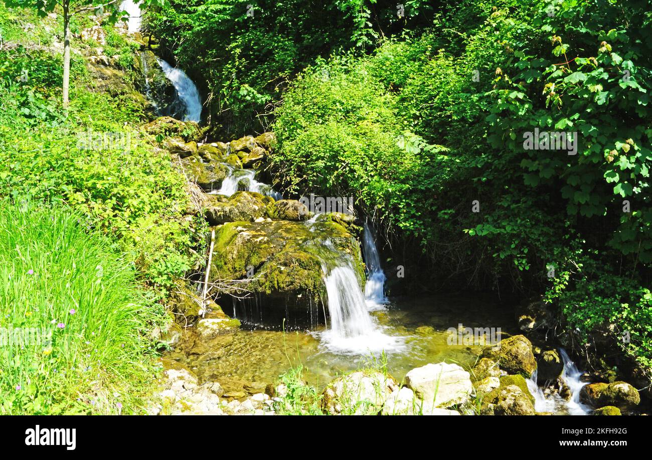 Los Beyos Ponga gorge, Principality of Asturias, Asturias, Spain ...