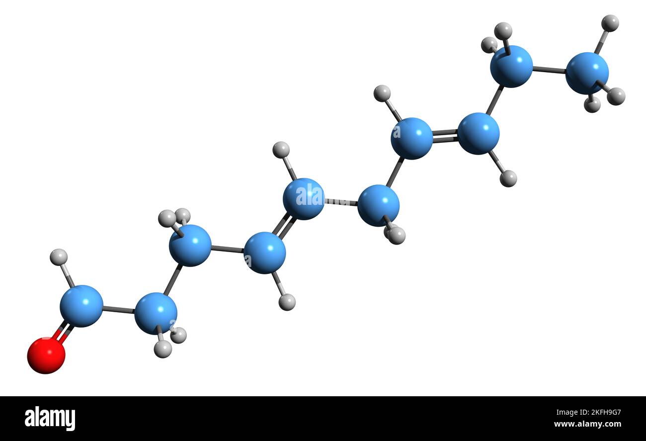 3D image of Decadienal skeletal formula - molecular chemical structure ...