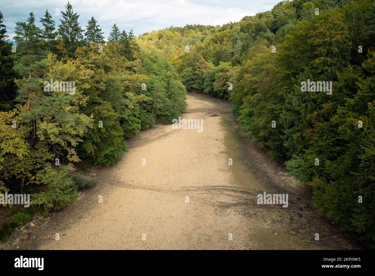 Dry mountain river bed in the forest, during the hot summer season ...