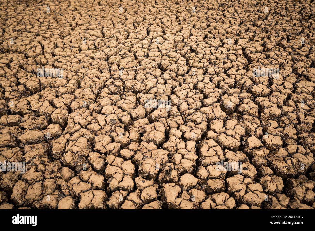 Dry riverbed with cracked mud in hot summer Stock Photo - Alamy
