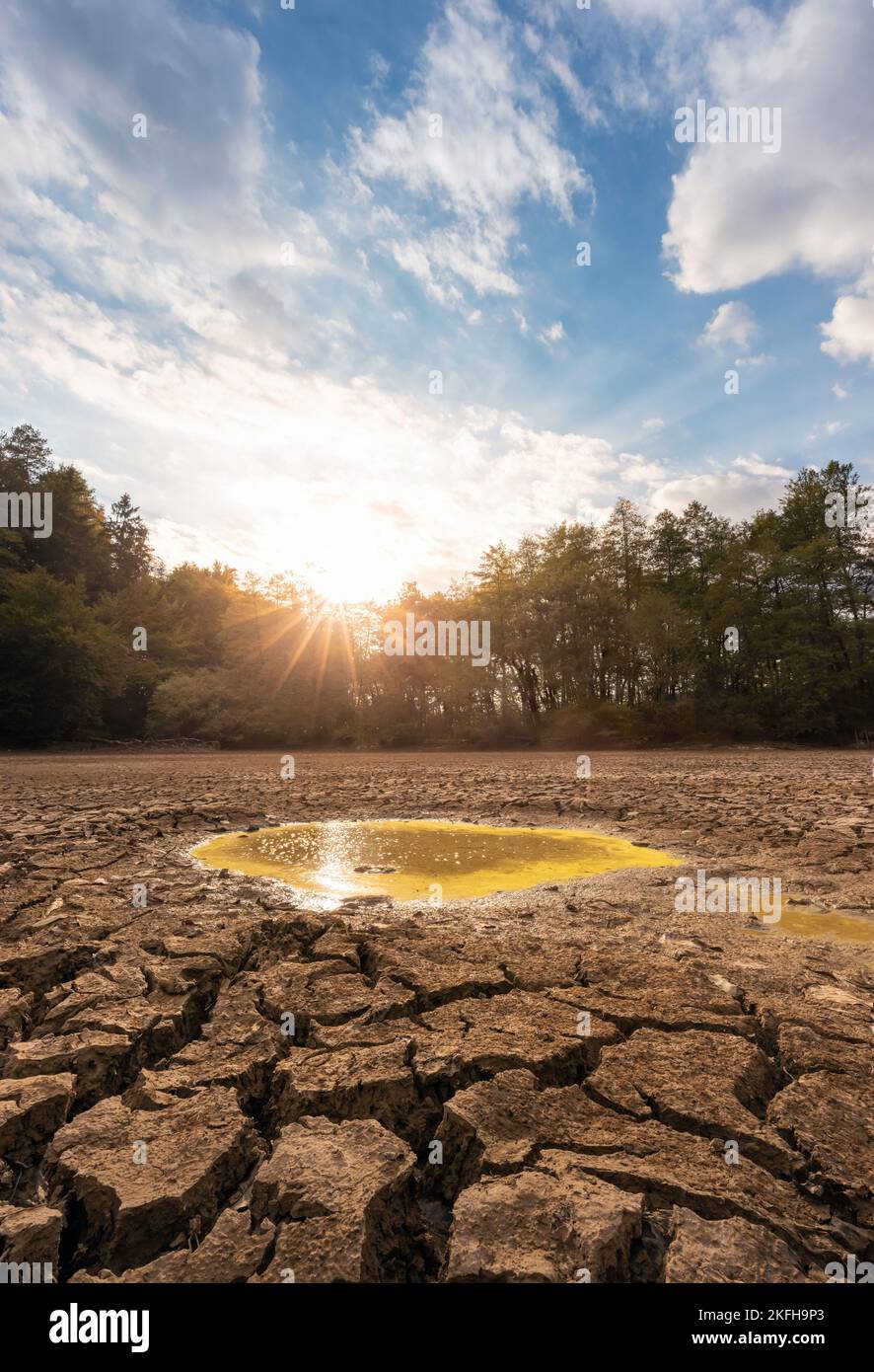 Puddles filled with dirty muddy water on dry cracked soil surrounded by ...