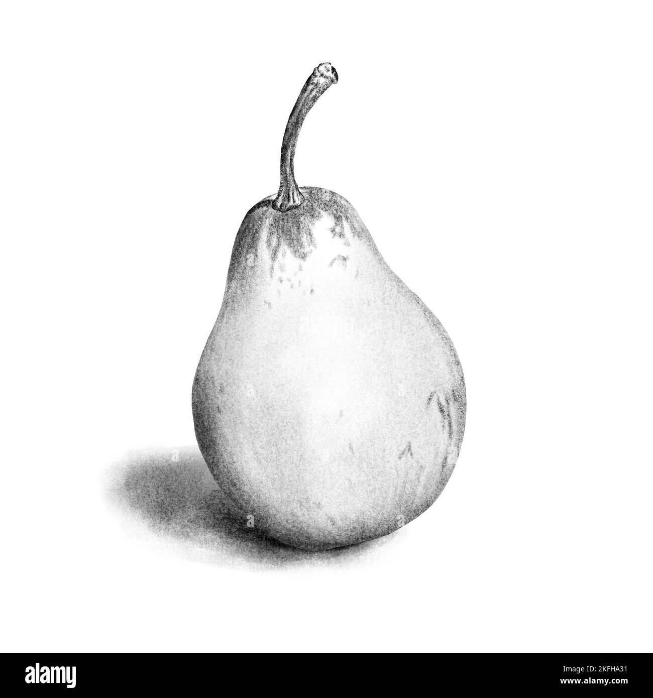 Pear hand drawn illustration style. Sketch. Black & white Stock Photo ...