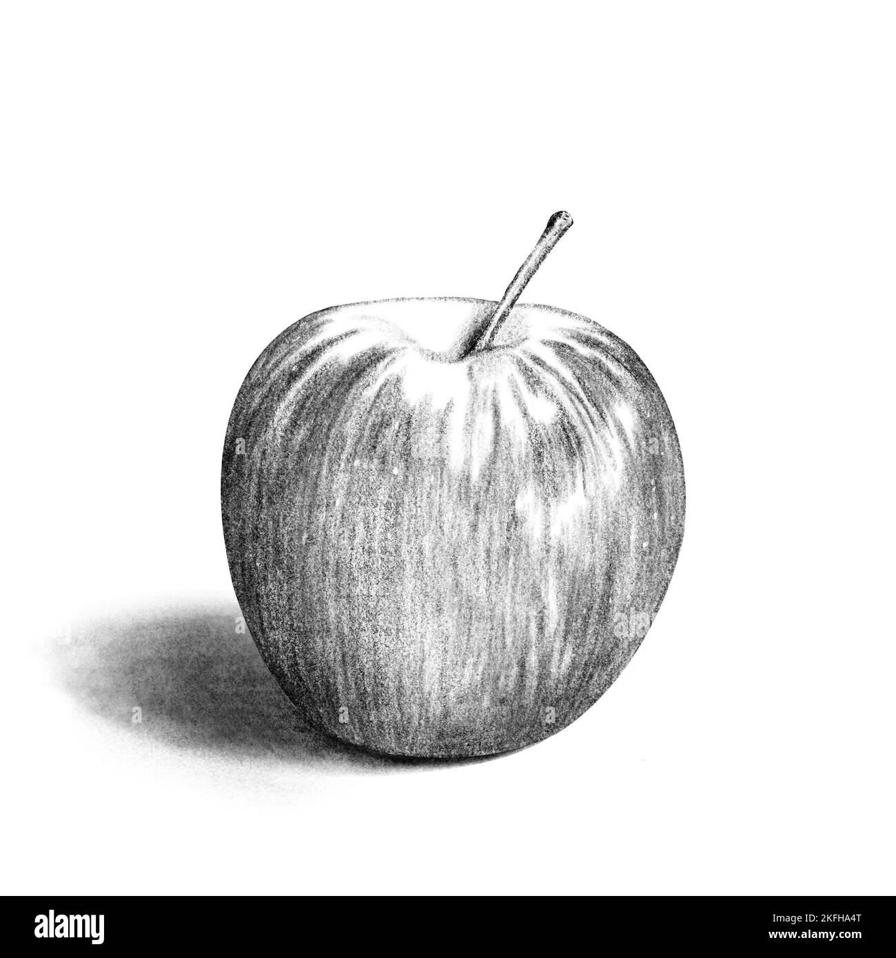 Apple hand drawn illustration style. Sketch. Black & white Stock Photo ...
