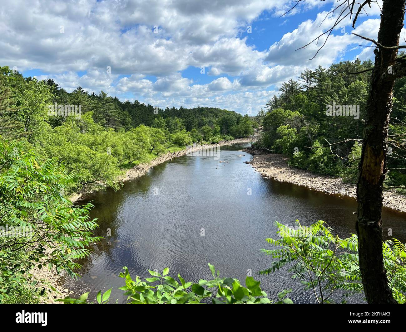 A landscape of a River with green trees and blue cloudy sky on the ...