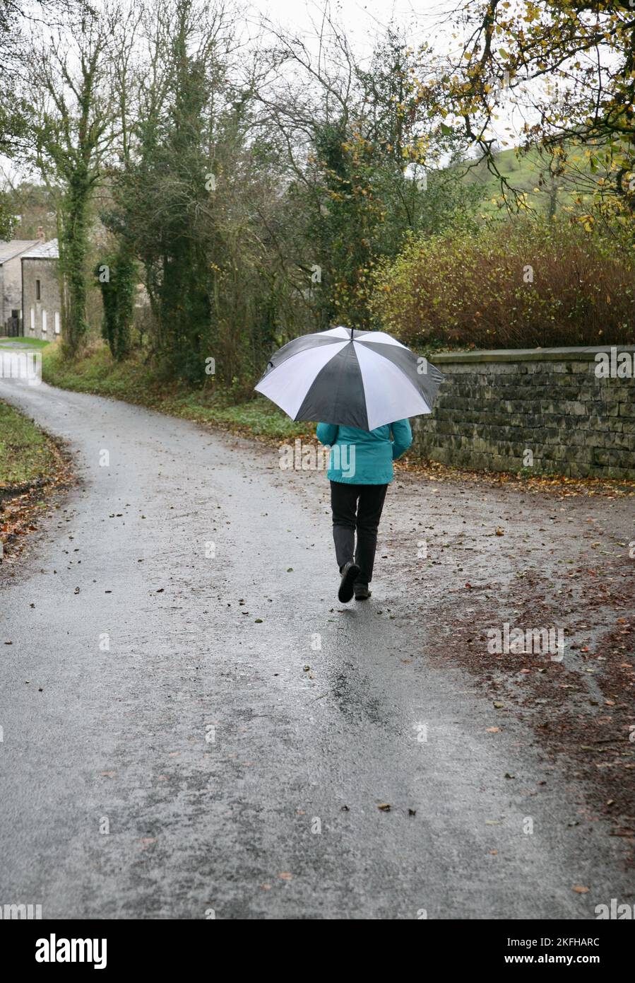 A lady with a brolly in the British countryside Stock Photo - Alamy