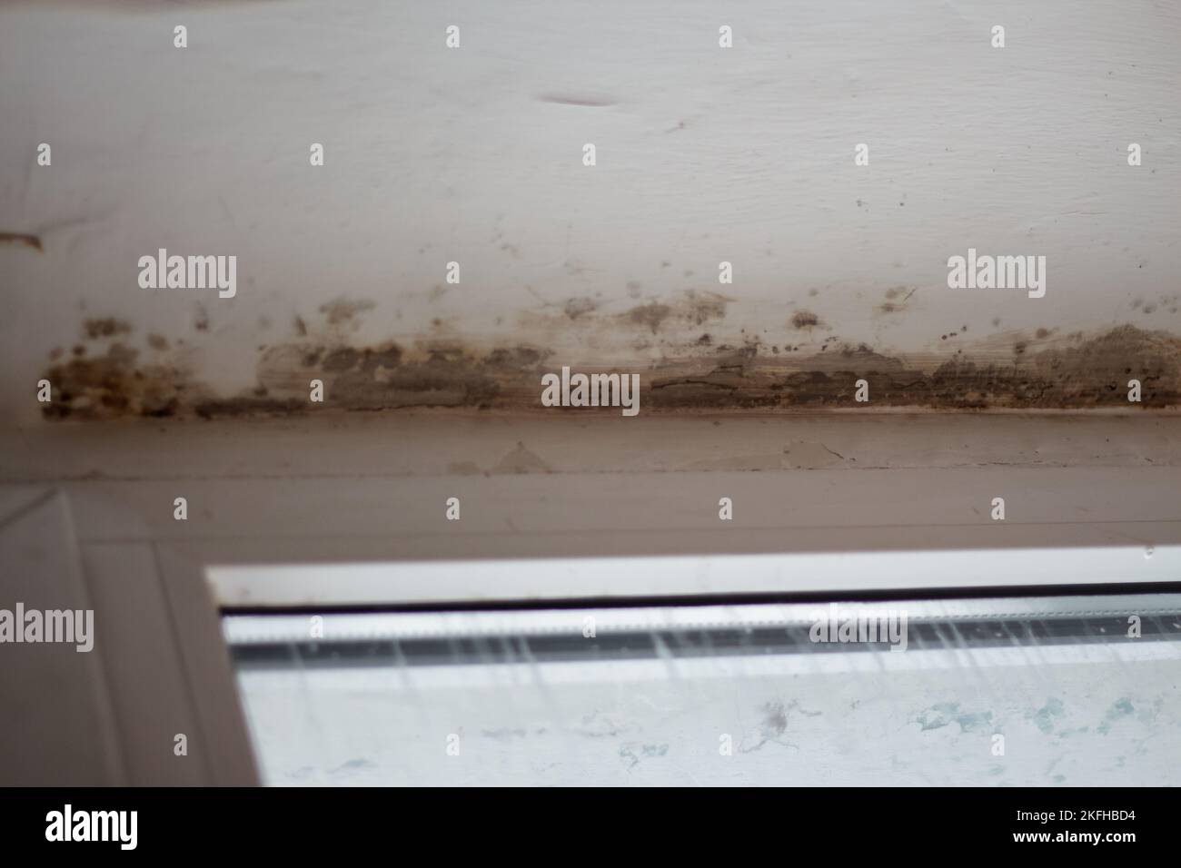 Fungal mold in the corner of the window. Repair related problems ...