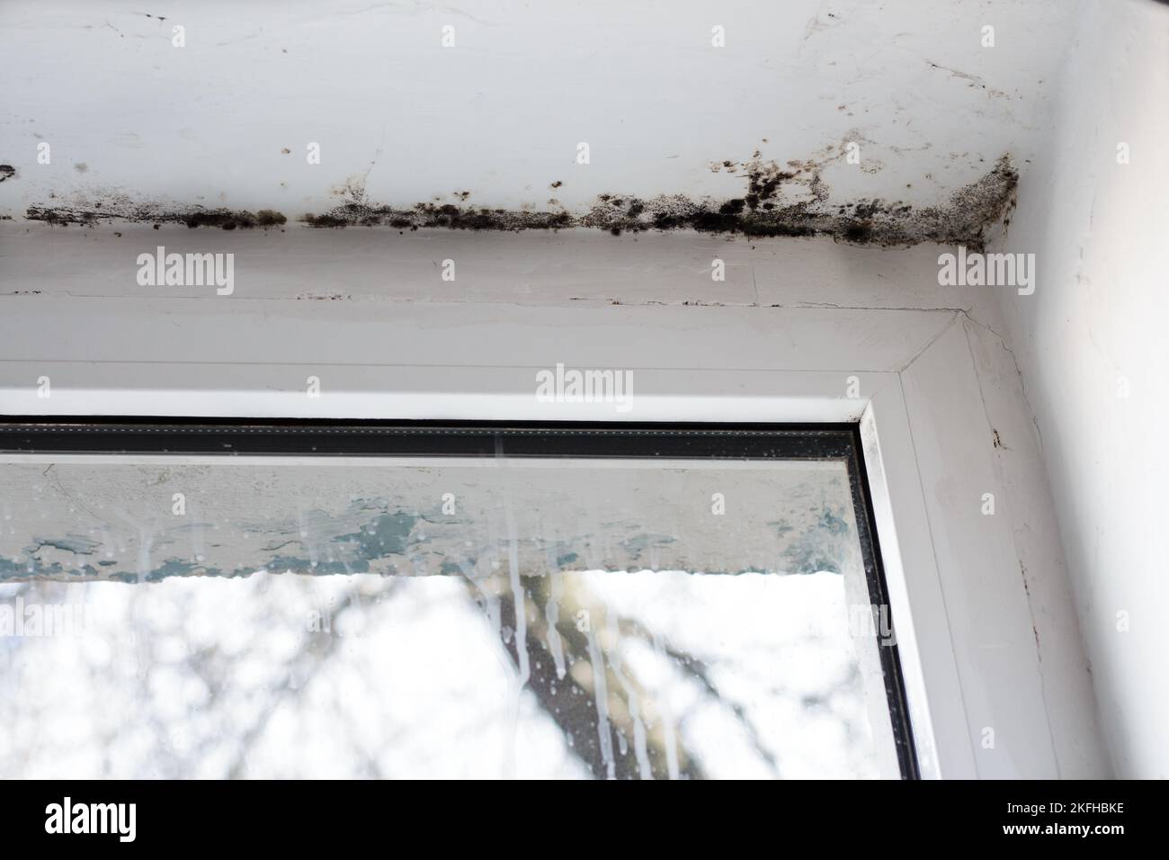 Fungal mold in the corner of the window. Repair related problems ...