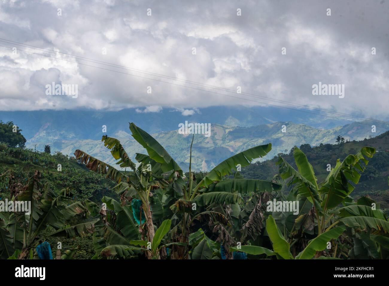 A panoramic view from a farm in the coffee-growing region of Colombia ...