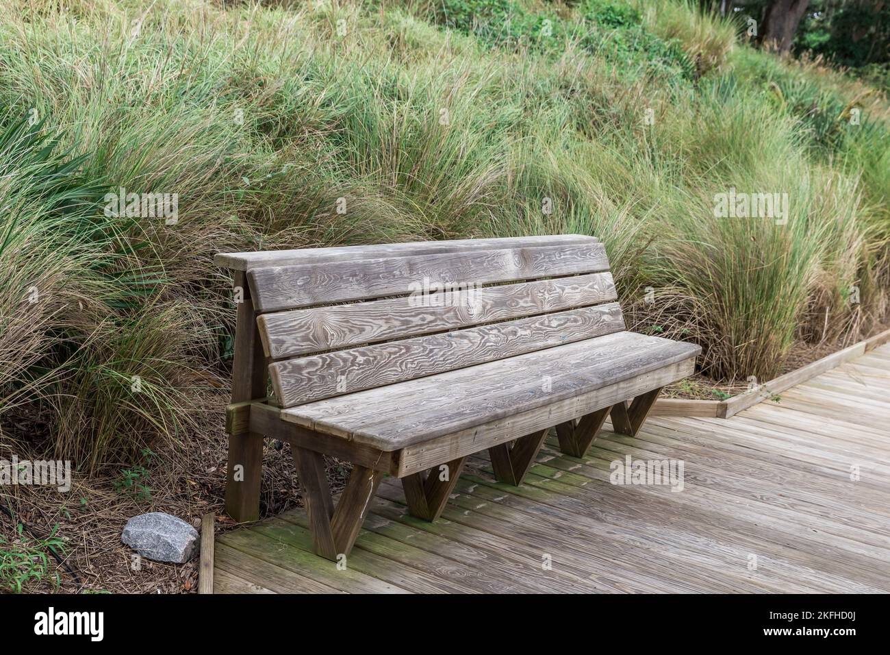An empty peaceful bench with tall grass behind it with no one on it at ...